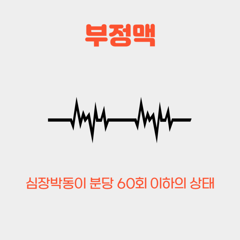 부정맥진단비 I47, I48, I49 완벽하게 알려드립니다 : 네이버 블로그