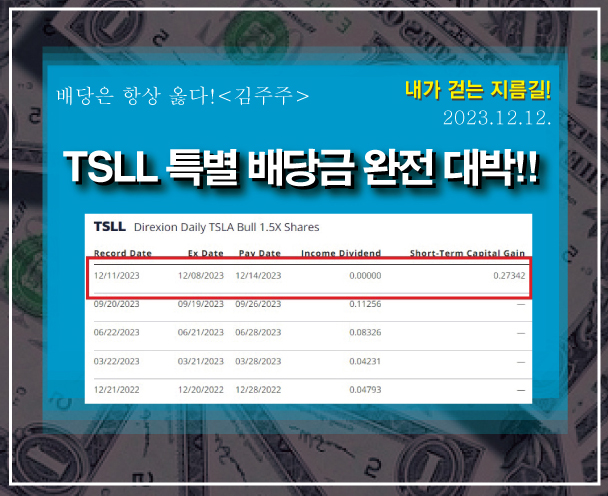 TSLL 특별 배당금 미쳤습니다!!? 작년보다 7배 상승 : 네이버 블로그