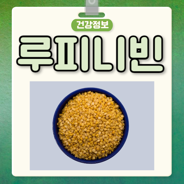 루피니빈 효능 부작용 먹는 법 베네팜 루피니빈 가격 네이버 블로그