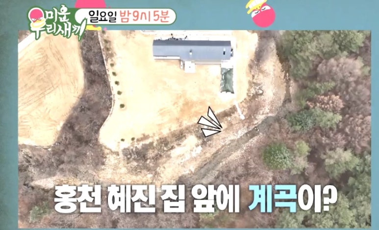 미우새 한혜진 홍천 집 위치 별장 가격 엄마 형부 남편 기성용 자녀 트리 계곡 캠핑 텐트 쇼파 소파 이동건 아빠 아버지 정신건강