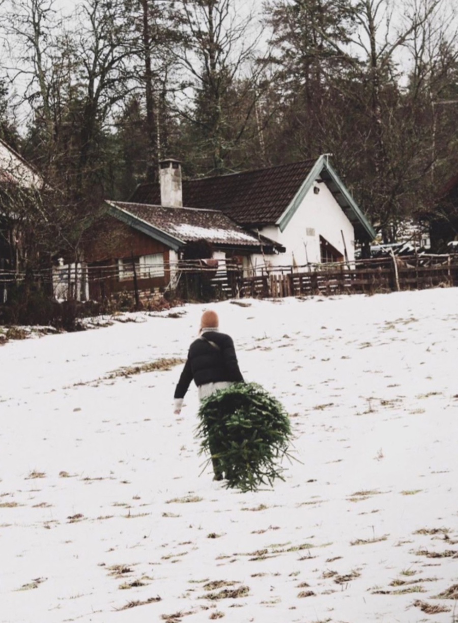 *젬마책장open* 1/2~ : 네이버 블로그