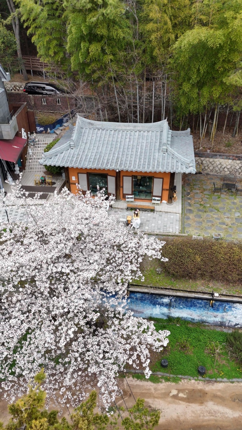 부산 벚꽃 명소로 불리는 카페 만덕고개길436 4월 부산가볼만한곳 네이버 블로그