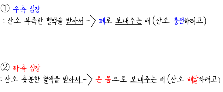 혈액 순환 과정 짧고 간단히 이해하기 심방과 심실 동맥과 정맥 네이버 블로그