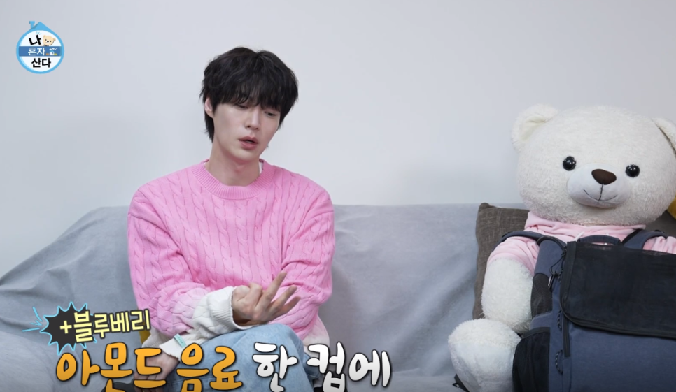나혼자산다 541회 안재현 아침식사 블루베리 아몬드브리즈 부시맨빵 냉동삼겹 잠수교집 부시맨빵 네이버 블로그