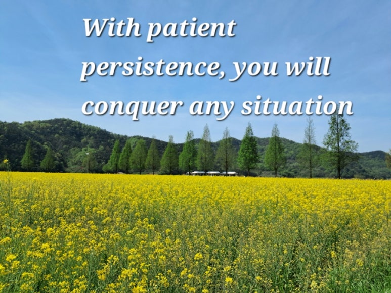 With patient persistence, you will conquer any situation : 네이버 블로그