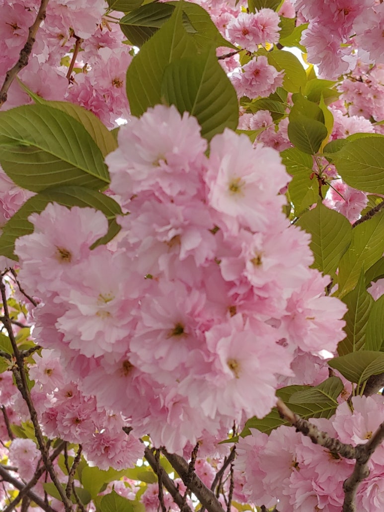 투비리스트를 먼저 챙겨라.하우석 : 네이버 블로그