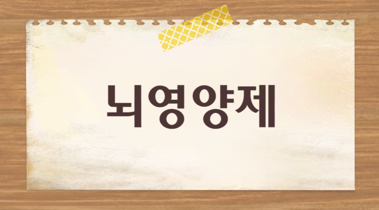 뇌 건강 영양제 두뇌에 좋은 영양제 추천 기억력 및 효능 효과 네이버 블로그