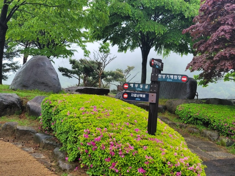 주의 가정 : 네이버 블로그