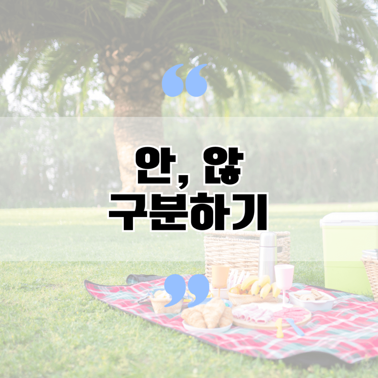 안 않 구분법 안해 않해 한글 맞춤법 총정리 네이버 블로그