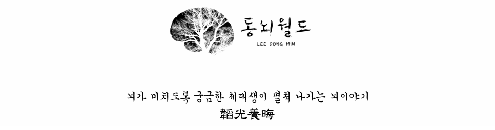 인지선별검사(Cognitive Impairment Screening Test: CIST) : 네이버 블로그