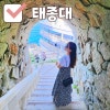 부산여행 코스추천 태종대 다누비열차 전망대 식당 카페 영도등대 해녀촌 태종사 수국 Ft 뚜벅이 부산역에서 가는법 물품보관함