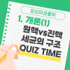 임상미생물학 1 개론1세균의 특징 원핵세포 진핵세포 차이 세균의 구조 미생물 기초 네이버 블로그