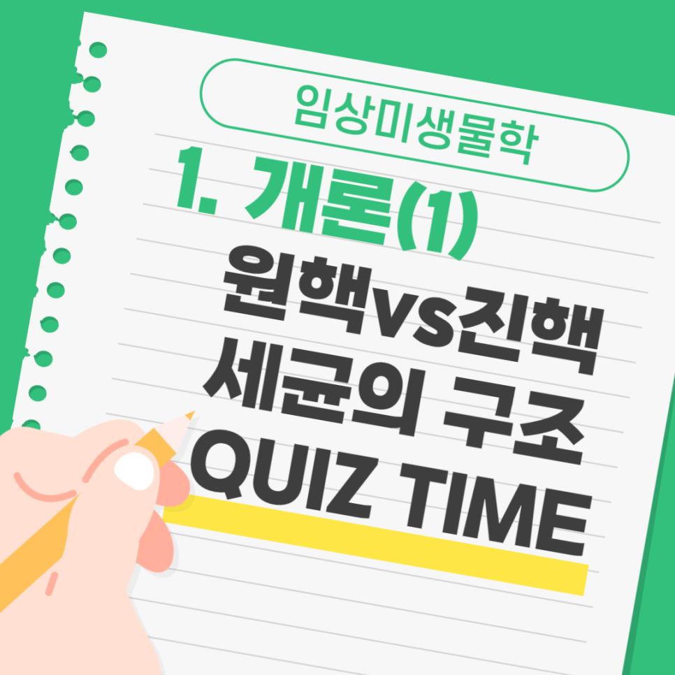 임상미생물학 1 개론1세균의 특징 원핵세포 진핵세포 차이 세균의 구조 미생물 기초 네이버 블로그