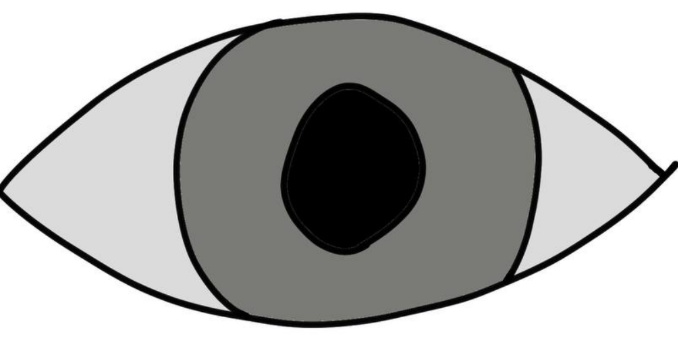 pupil 크기 pupil 모양 pupil light reflex 빛반사 보는 법 : 네이버 블로그