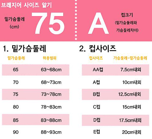 여자 가슴 둘레 브라 사이즈 측정 재는법! 컵크기와 사이즈표 : 네이버 블로그