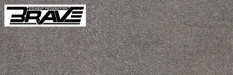 함자트 치마예프 vs 이크람 알리스케로프(Brave CF 23) : 네이버 블로그