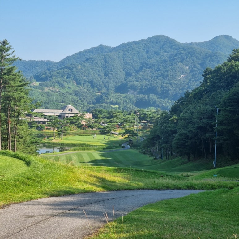 원주 센추리21CC, 울창한 삼림 속 힐링 라운드 후기 & 맛집 : 네이버 블로그