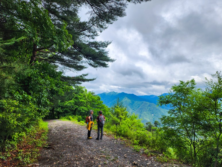영월 산꼬라데이길 8km 트레킹 with (주)여행자클럽 : 네이버 블로그
