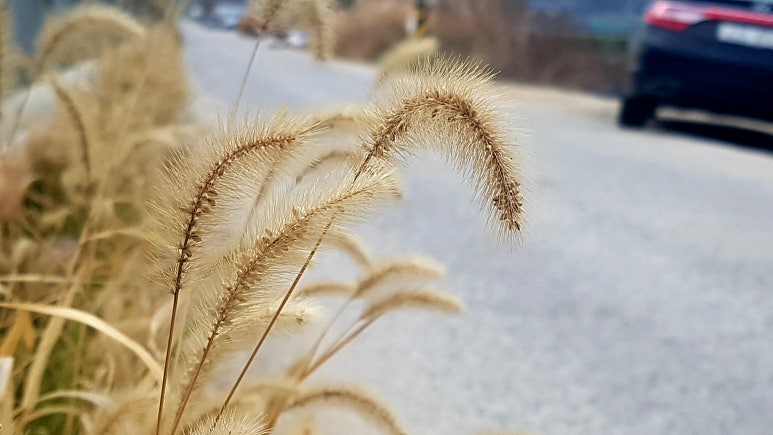 스트레스에 대한 반응 생리적·심리적 반응 스트레스 대처방법 문제중심적·정서중심적·생리중심적·심리공학적 대처·명상법