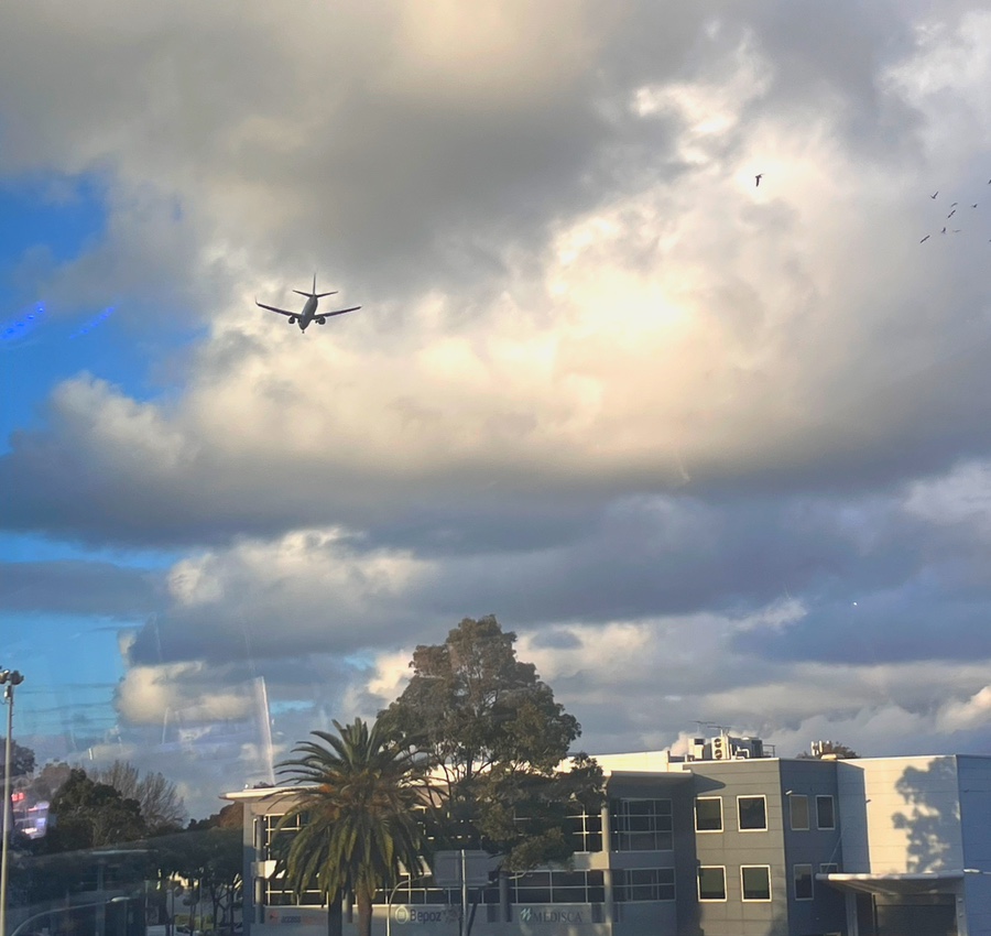 시드니여행#2 시드니젯스타항공JQ47,48 비상구석 꿀팁/ 기내식/영화 : 네이버 블로그