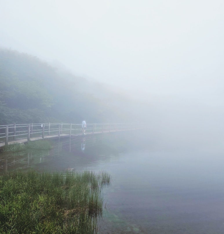 한라산 사라오름 예약 안하고 갔던 날 사라오름 산정호수 전망대 안개속 몽환적인 풍경~ 네이버 블로그