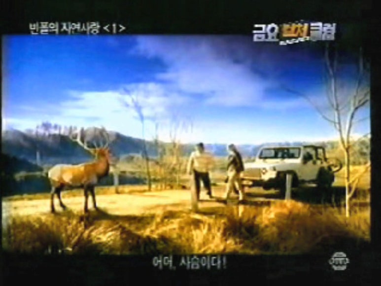 2000년 9월 실제 방영된 TVCF광고 모음(4) : 네이버 블로그