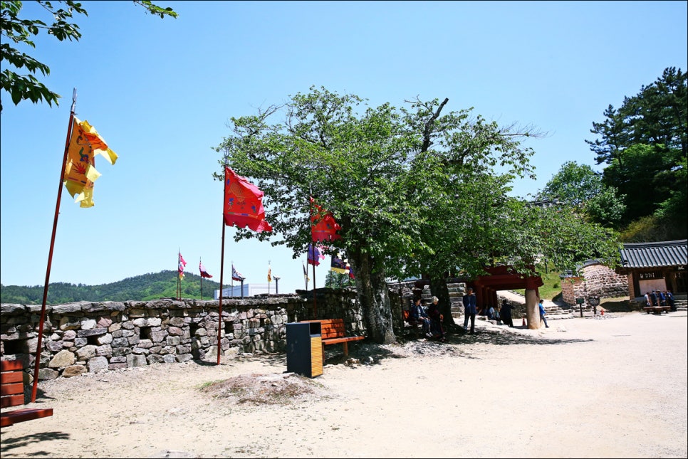 전북 고창 가볼만한곳 여행 코스 걷기 좋은길 고창읍성 맹종죽림 볼거리 사진 놀이터 네이버 블로그