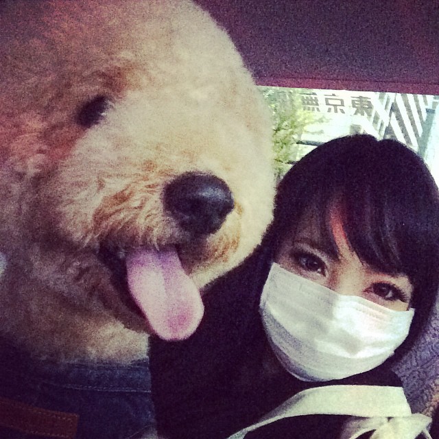 타나카 히토미 / Hitomi Tanaka / 田中瞳 : 네이버 블로그