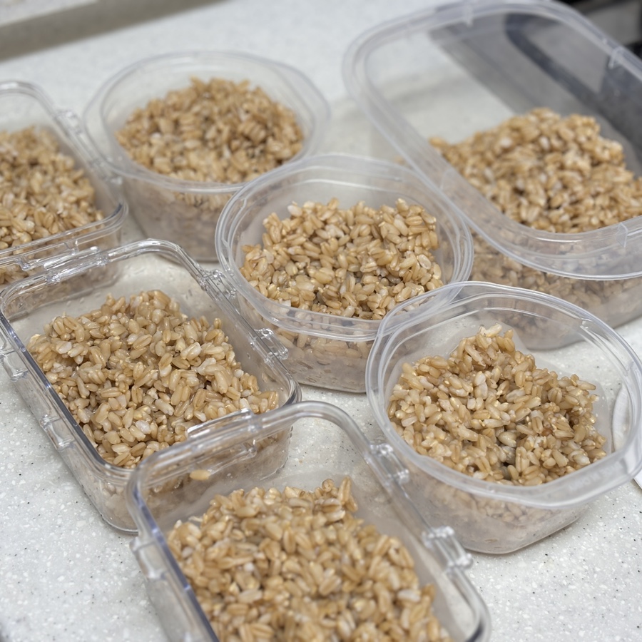 [신혼일기] 냄비밥 냄비로 귀리밥 만들기 도전! : 네이버 블로그