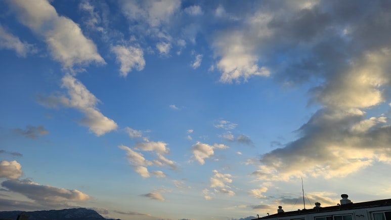 Sag Einfach'lch Liebe Dich - Claudia Jung : 네이버 블로그