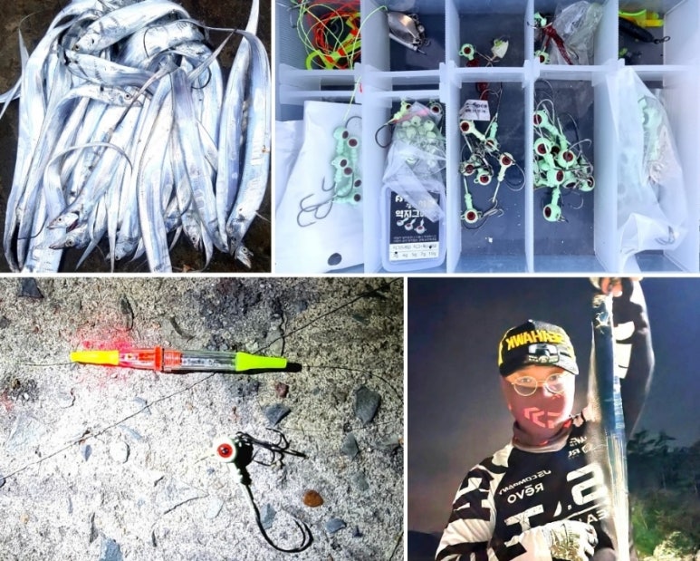 서해 방파제 갈치낚시 풀치낚시 루어와 생미끼 채비운용 : 네이버 블로그