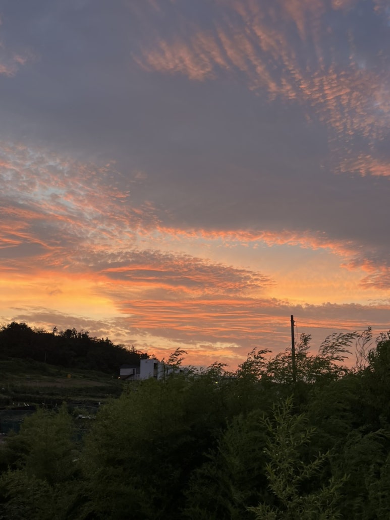 The day bleeds into nightfall : 네이버 블로그