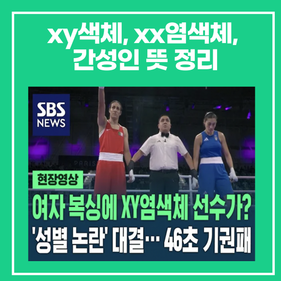 Xy염색체 Xx염색체 간성인 뜻 정리 여자여성 복싱 복서 선수성염색체 이상 증후군 네이버 블로그