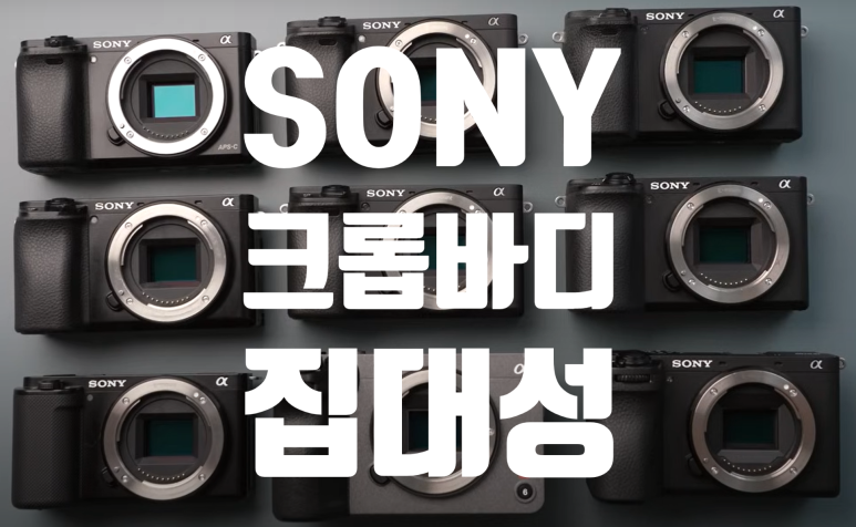 SONY 크롭바디 집대성 및 상황별 추천 (A6000 A6100 A6300 A6400 A6500 A6600 ZV-E10 FX30 A6700) : 네이버 블로그