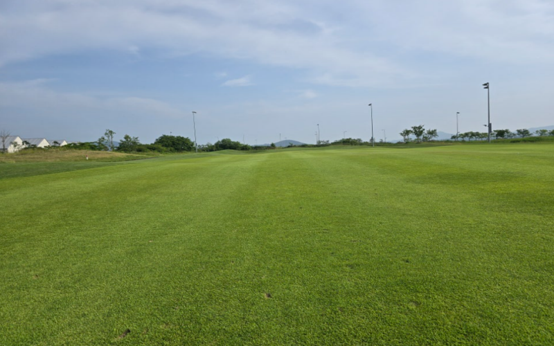 충남 태안 로얄링스cc 가성비 골프장 1박2일 골프여행 후기(ft.코스) : 네이버 블로그