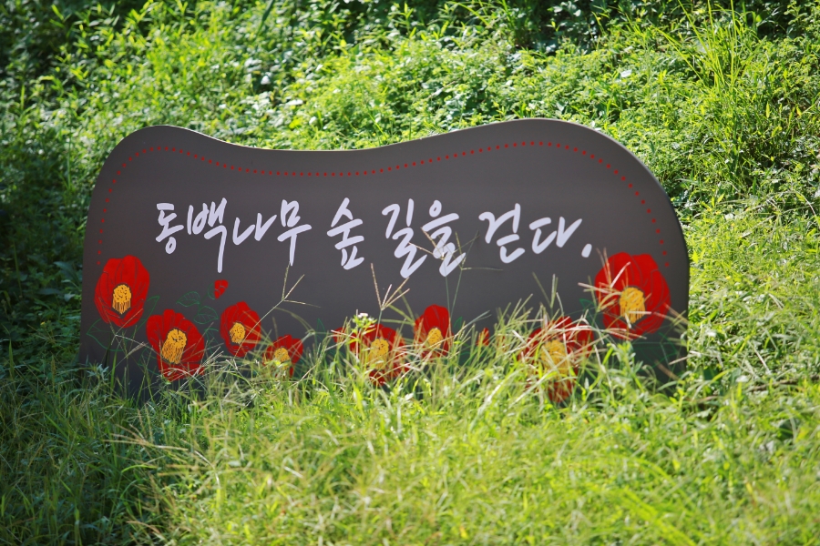 충남 가볼만한 여행지 천연기념물 서천 마량리 동백나무 숲 네이버 블로그