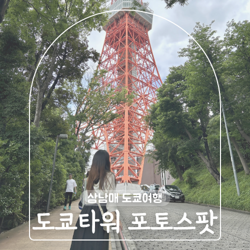 도쿄타워 사진 스팟 프린스 시바공원 피크닉 포토스팟 위치 네이버 블로그