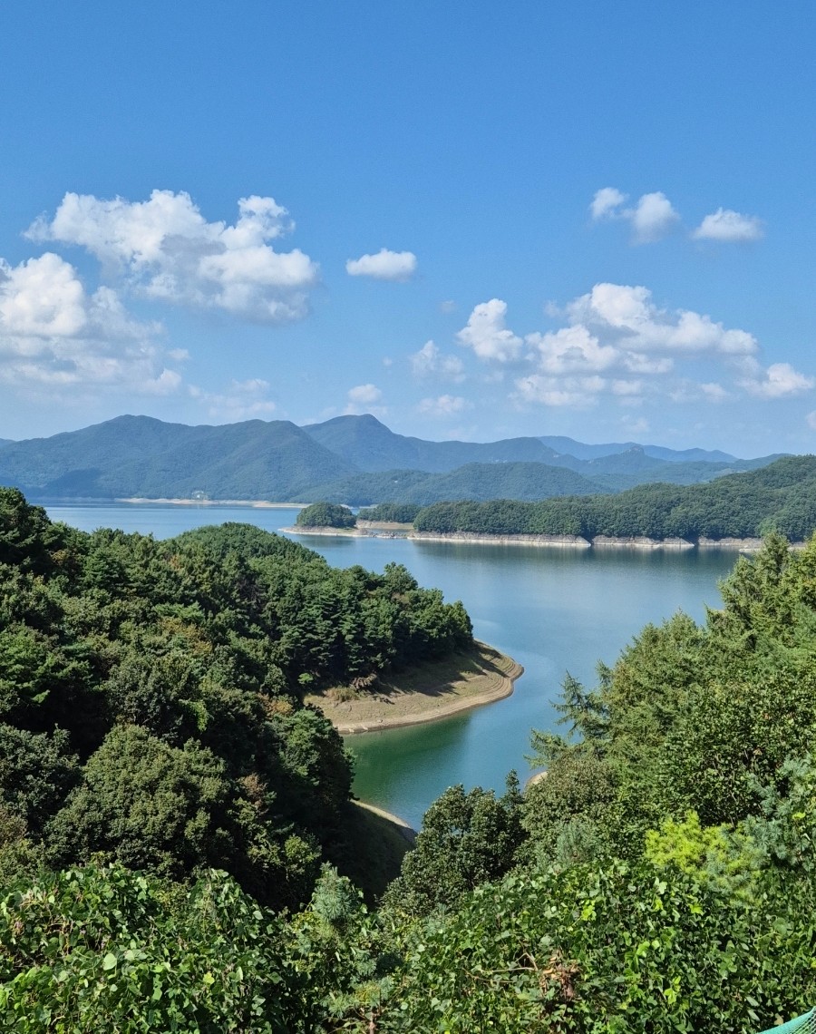 충주 게으른악어 카페 충주호 뷰 맛집 여행 코스 추천 네이버 블로그