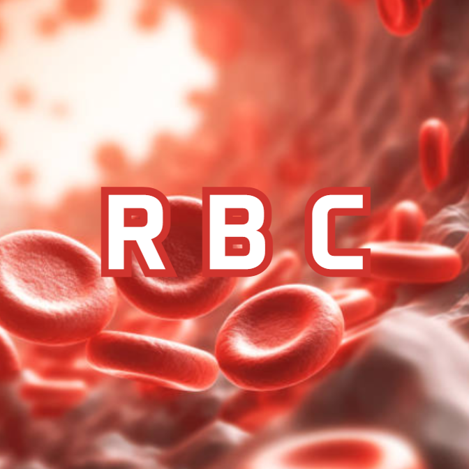 RBC 정상수치 소변 RBC 수치 높으면 낮으면 : 네이버 블로그