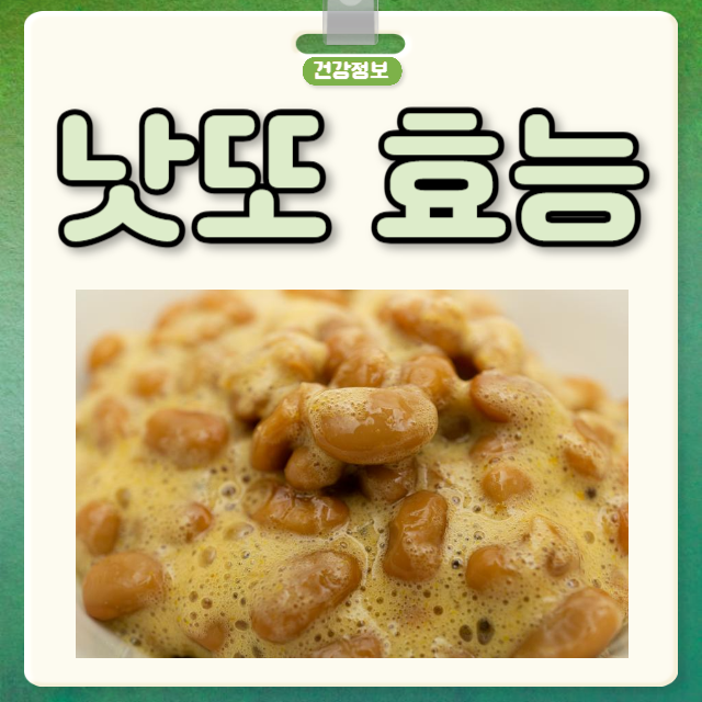 낫또 효능 부작용 낫또 칼로리 유통기한 네이버 블로그