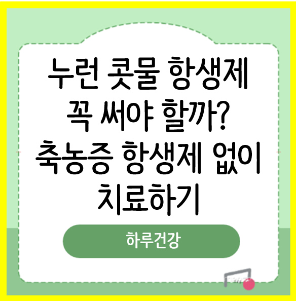 누런콧물 항생제 꼭 써야 할까 축농증항생제없이 치료하기 네이버 블로그