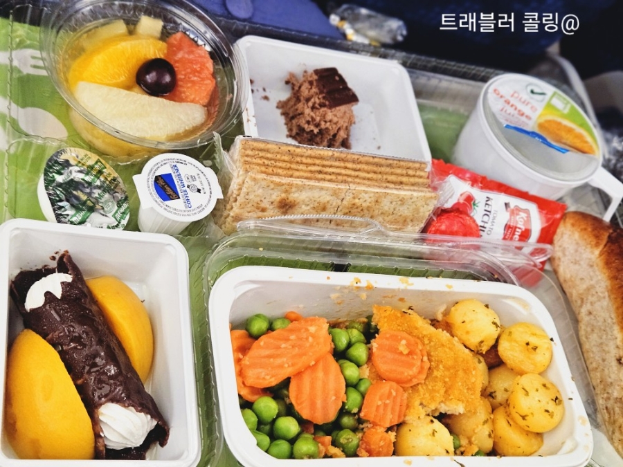 대한항공 특별 기내식 메뉴 종류 시간 총정리 해산물식 과일식 이슬람식 흰두교식 당뇨식 소아식 유아식 네이버 블로그