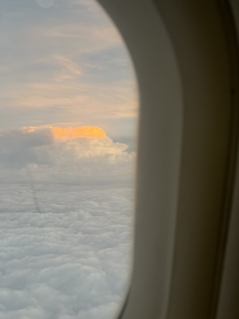 마음처럼 되지 않아서 더 마음에 들었던 주륵주륵 제주도 : 네이버 블로그