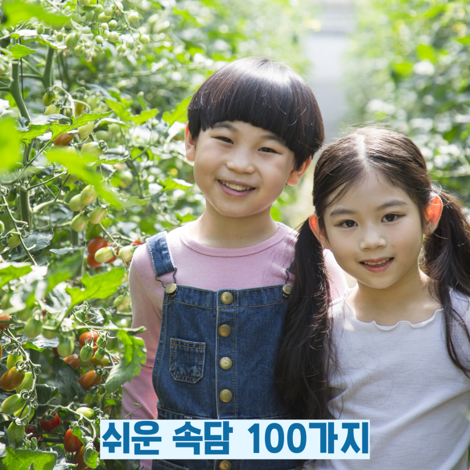 쉬운 속담 100가지 모음 중 우리나라 사람이 꼭 알아야 할 기본상식 : 네이버 블로그