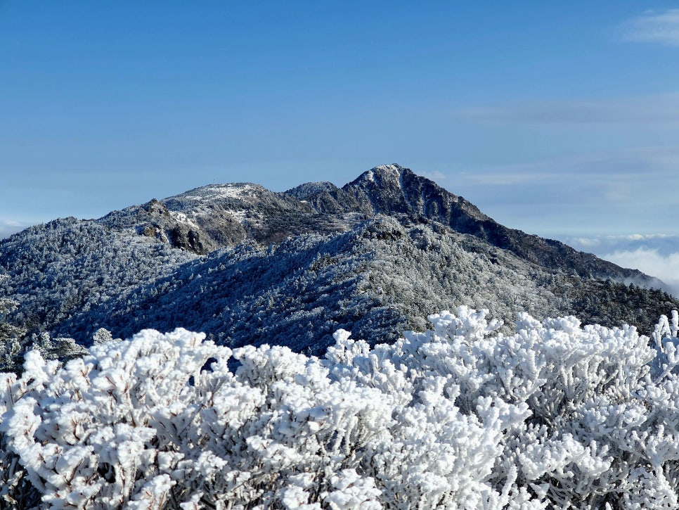 지리산 천왕봉 산행 [지리산국립공원] : 네이버 블로그