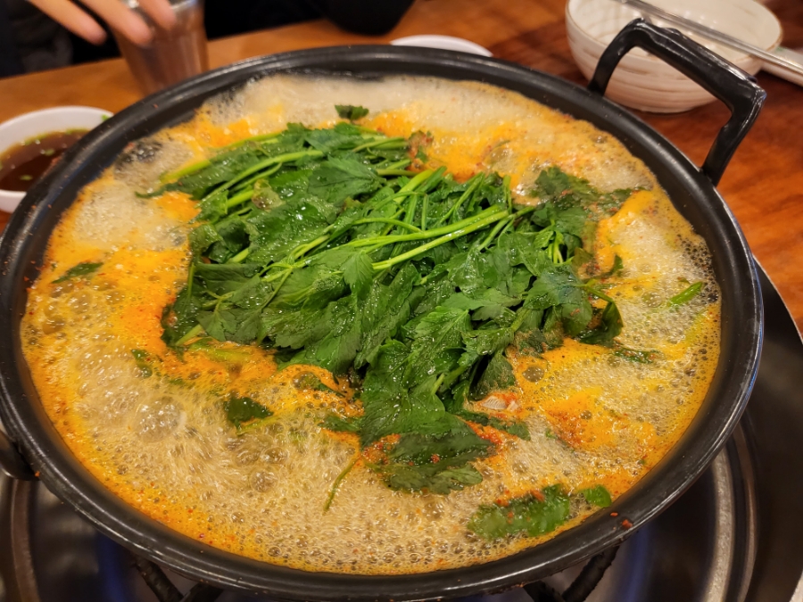 수원 정자동 맛집 등촌 샤브 칼국수(매운탕,돈까스 서비스) : 네이버 블로그