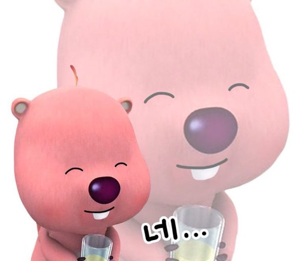 루피짤모음 네이버 블로그