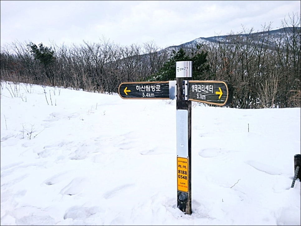 점봉산 곰배령 천상의화원 강원도 인제 계곡 설악산 국립공원 가볼만한곳 점봉산생태관리센터 겨울등산 : 네이버 블로그