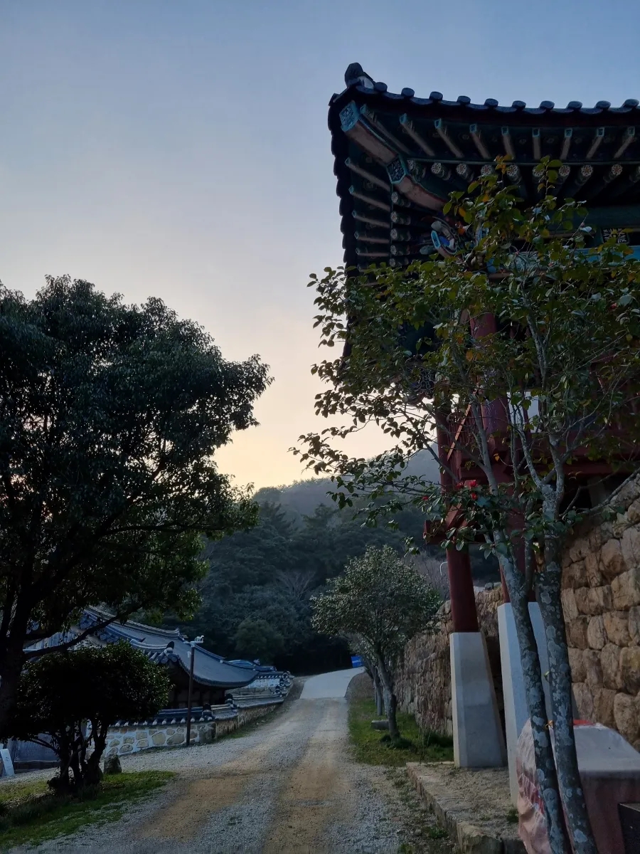 동백나무 숲과 다산초당을 만나는 전남 강진 백련사에서 템플스테이 2~3일차 네이버 블로그