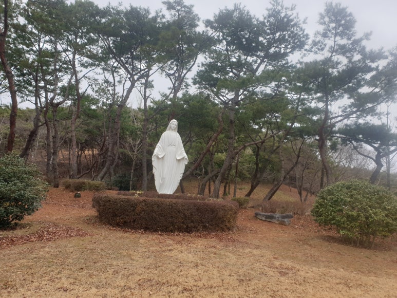 영천나자렛집사회복지법인 성모자애원경북 영천시 화산면 가일길 118 노숙인복지시설 대한미용사회영천시지부 회원님들 노랑머리미용실